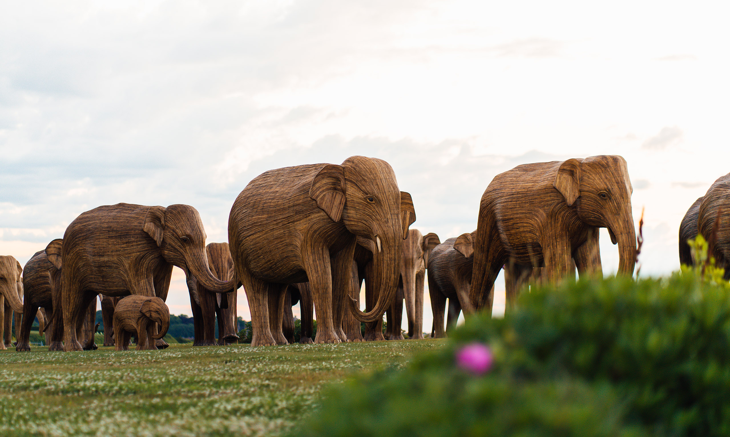 Press Release - The Great Elephant Migration Art Exhibit Arrive at ...